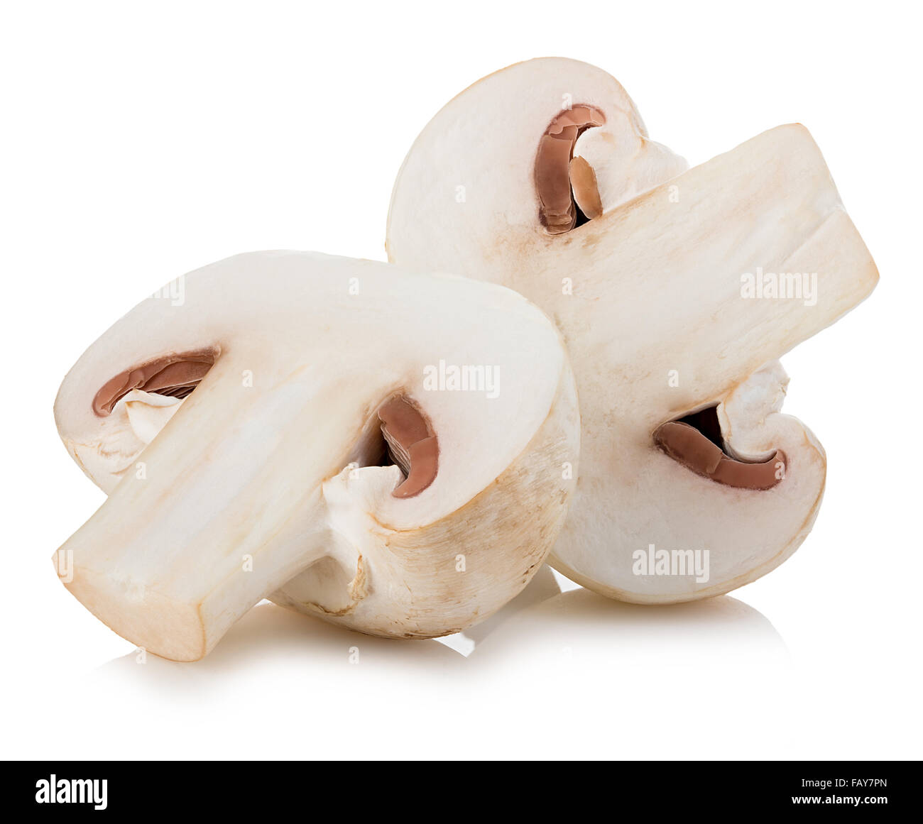 Champignon mushrooms close-up isolated on a white background Stock ...