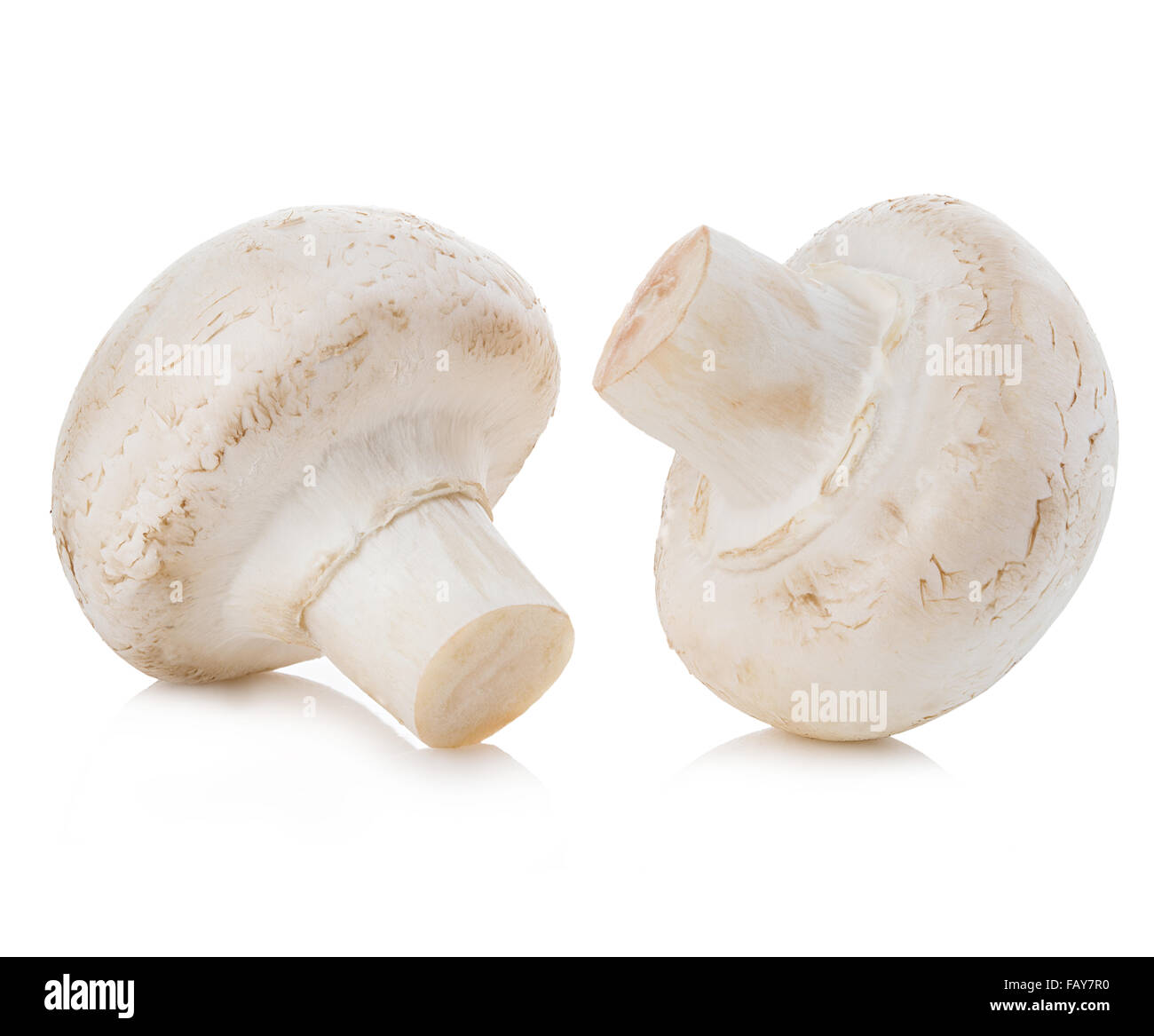 Champignon mushrooms close-up isolated on a white background Stock ...