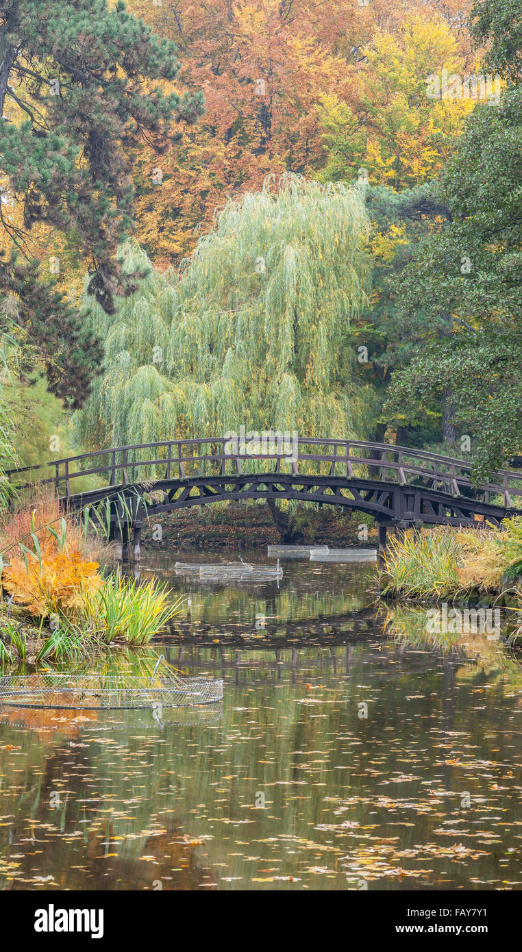 Bridge over calm water in a colorful autumn scenery Stock Photo - Alamy