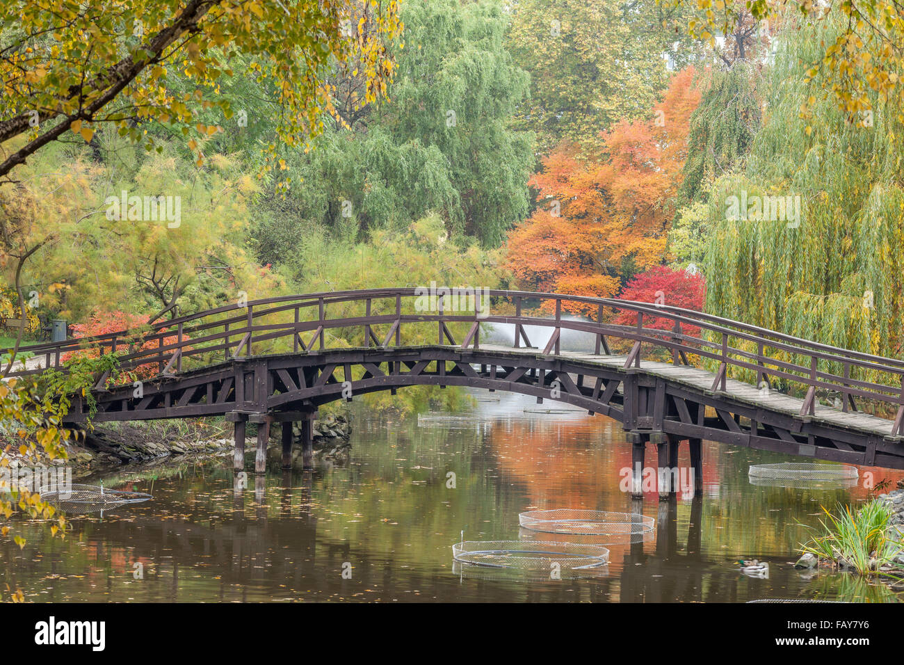 Bridge over calm water in a colorful autumn scenery Stock Photo - Alamy