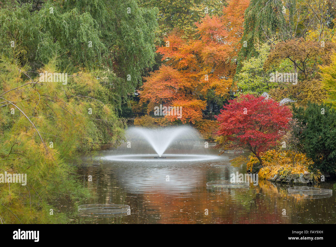 Fountain surrounded by trees hi-res stock photography and images - Alamy
