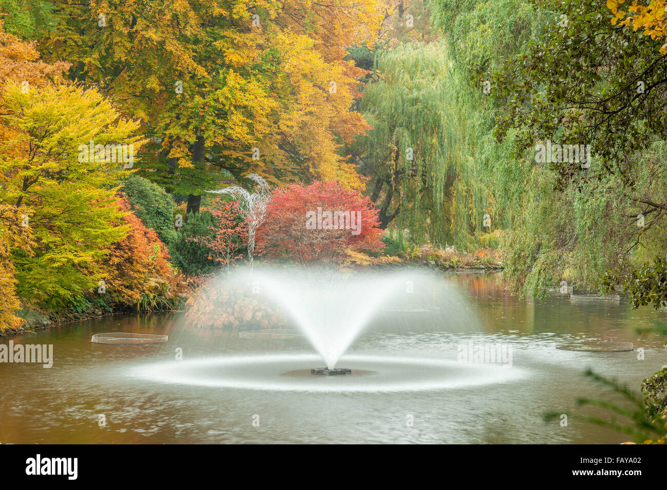 Fountain surrounded by trees hi-res stock photography and images - Alamy