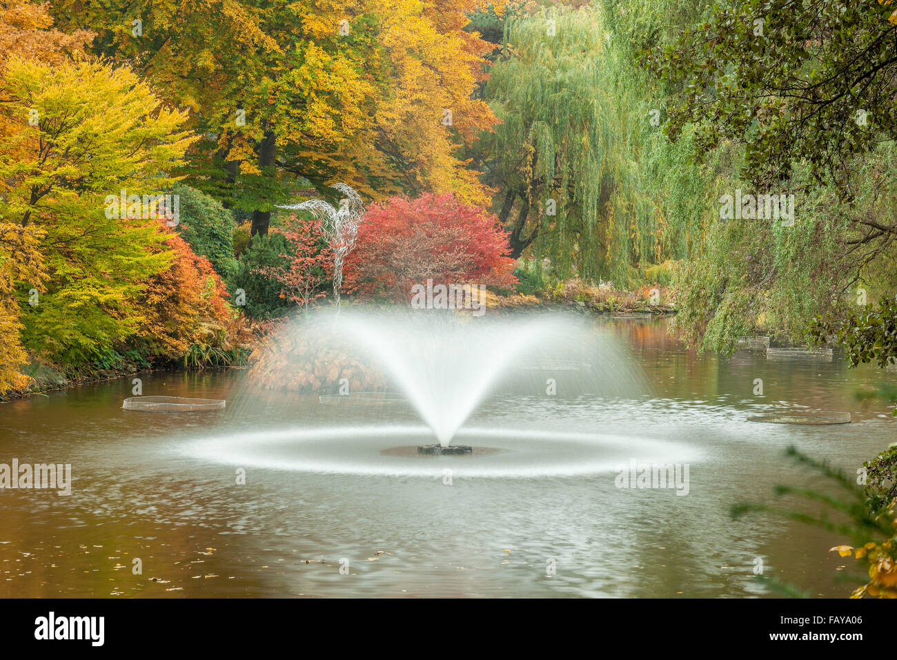 fountain on a pond surrounded by colorful autumn trees Stock Photo - Alamy