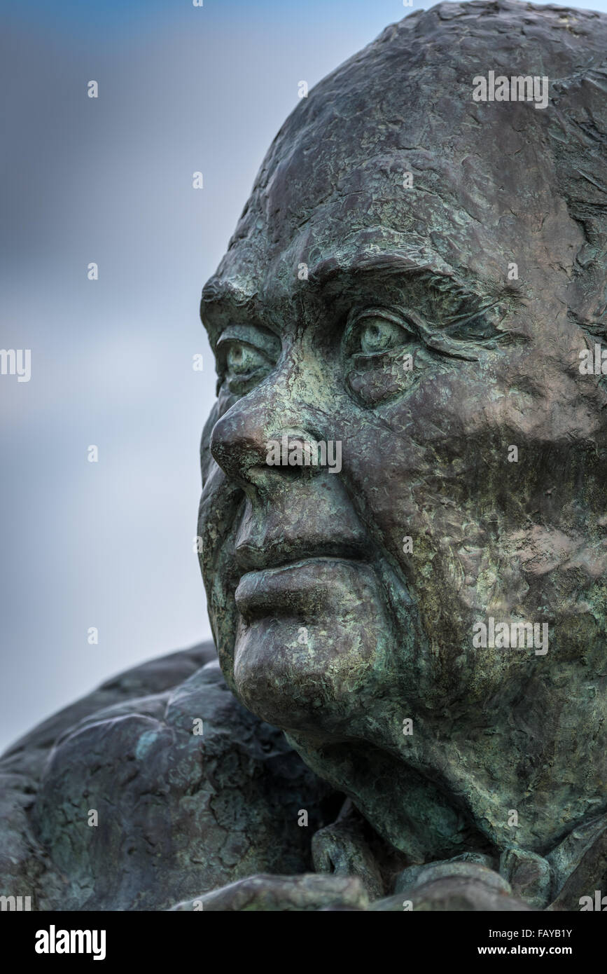 Sir Peter Scott Bust Stock Photo - Alamy