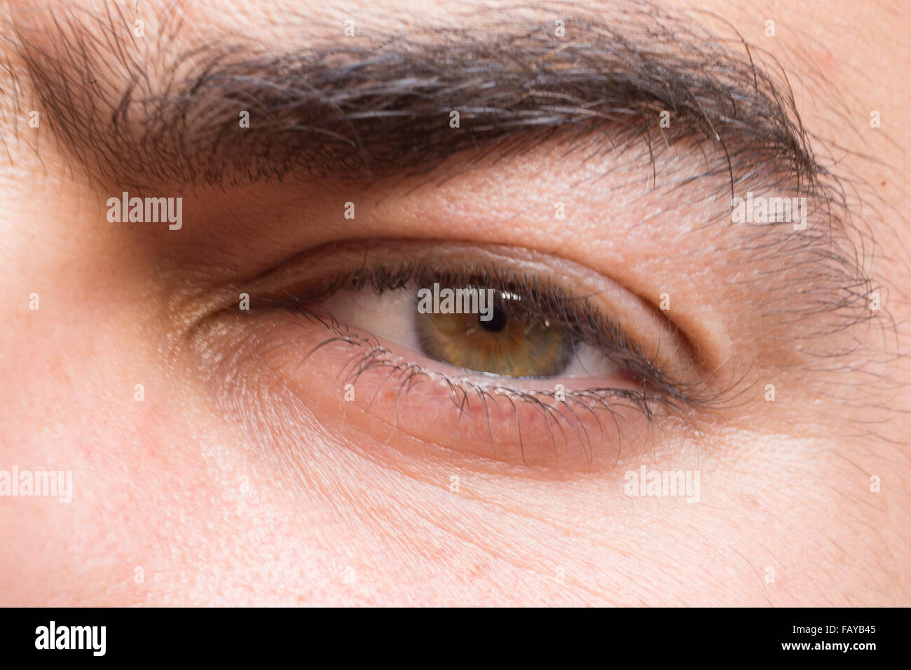 Close up optical sight hi-res stock photography and images - Alamy