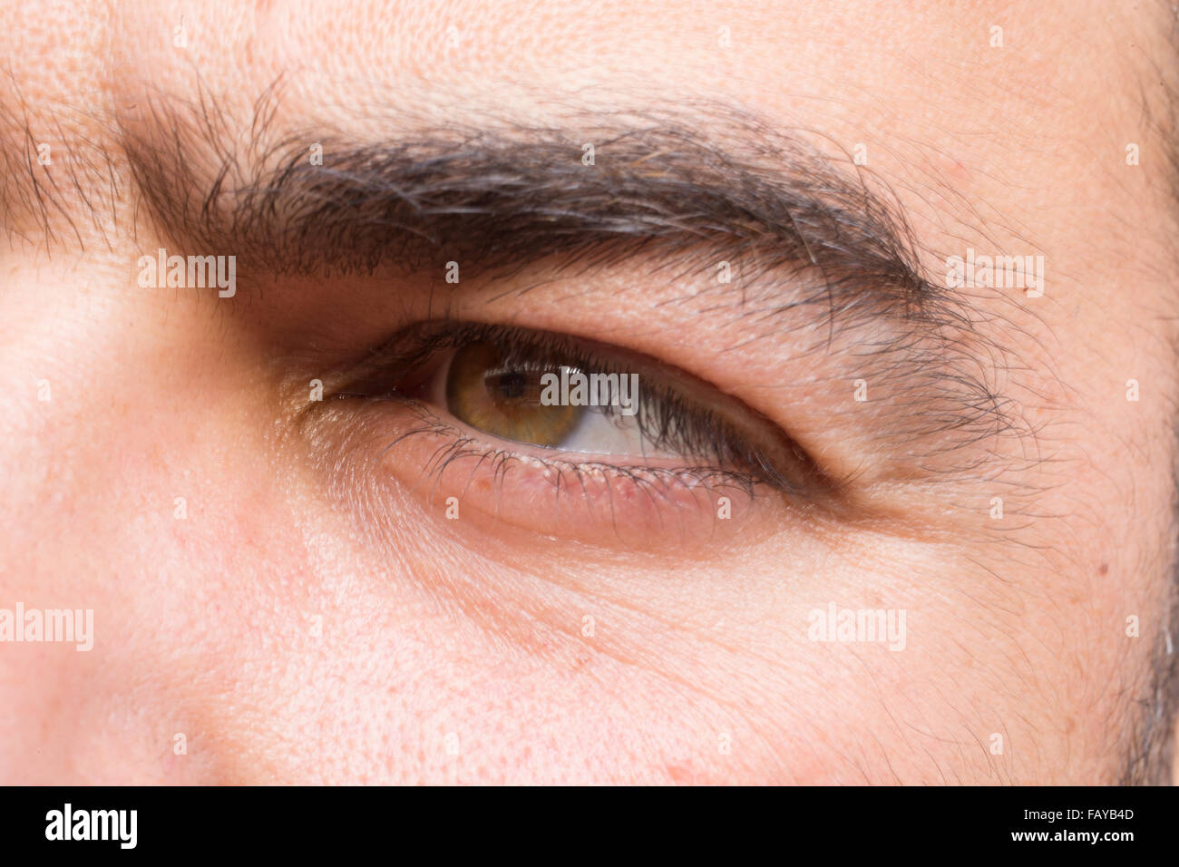 Human sight hi-res stock photography and images - Alamy