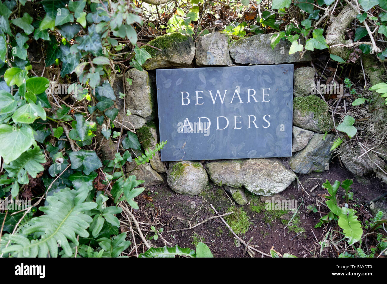 Warning of adders hi-res stock photography and images - Alamy