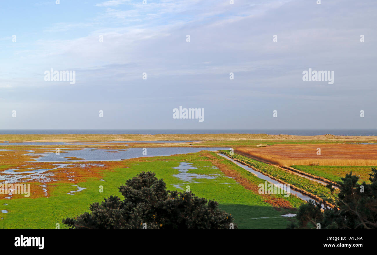 Lagoons salt marshes hi-res stock photography and images - Alamy