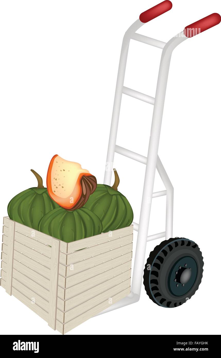 Hand Truck or Dolly Loading Cardboard Box Full with Fresh Green ...