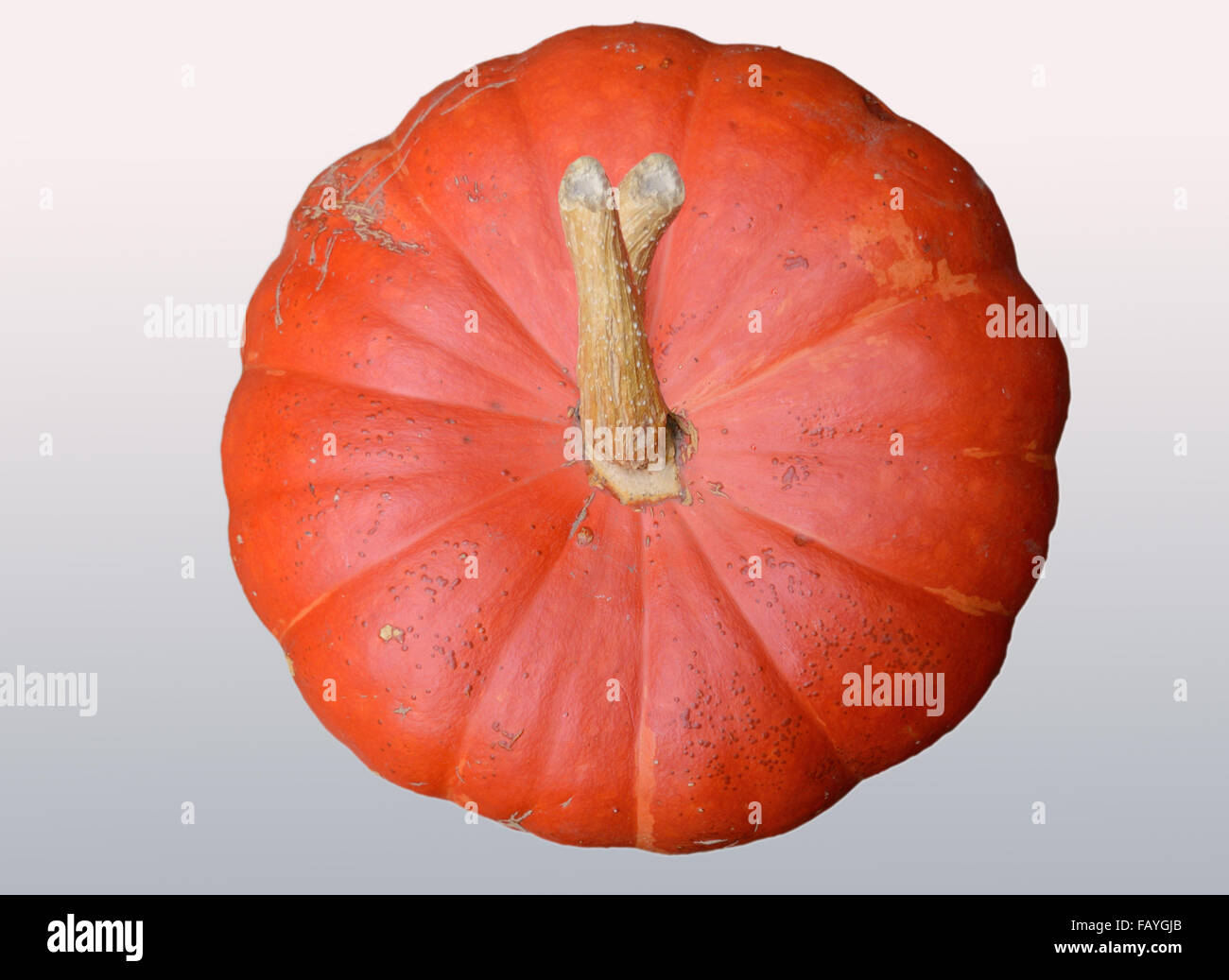 Overhead shot pumpkin over hi-res stock photography and images - Alamy