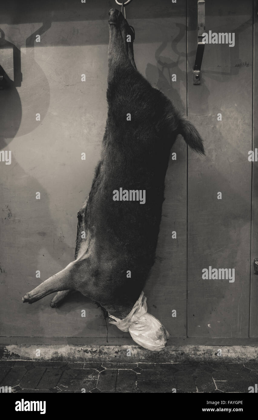 Hanging words hi-res stock photography and images - Alamy