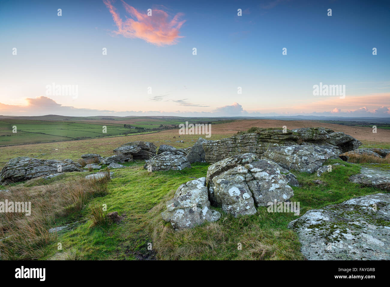 Wild, rugged and rocky moorland with ponies grazing in the distance ...
