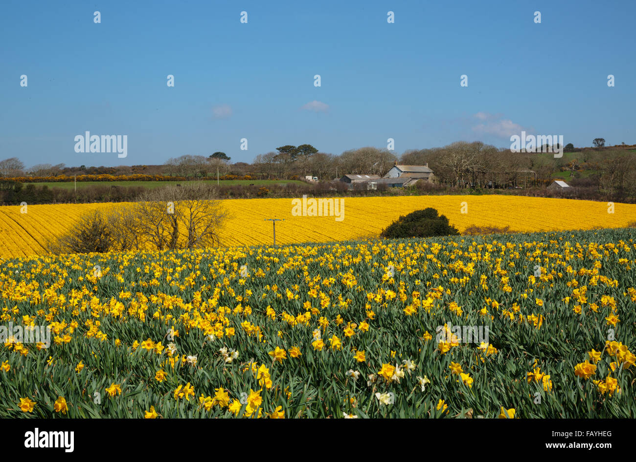 Colourful fields hi-res stock photography and images - Alamy