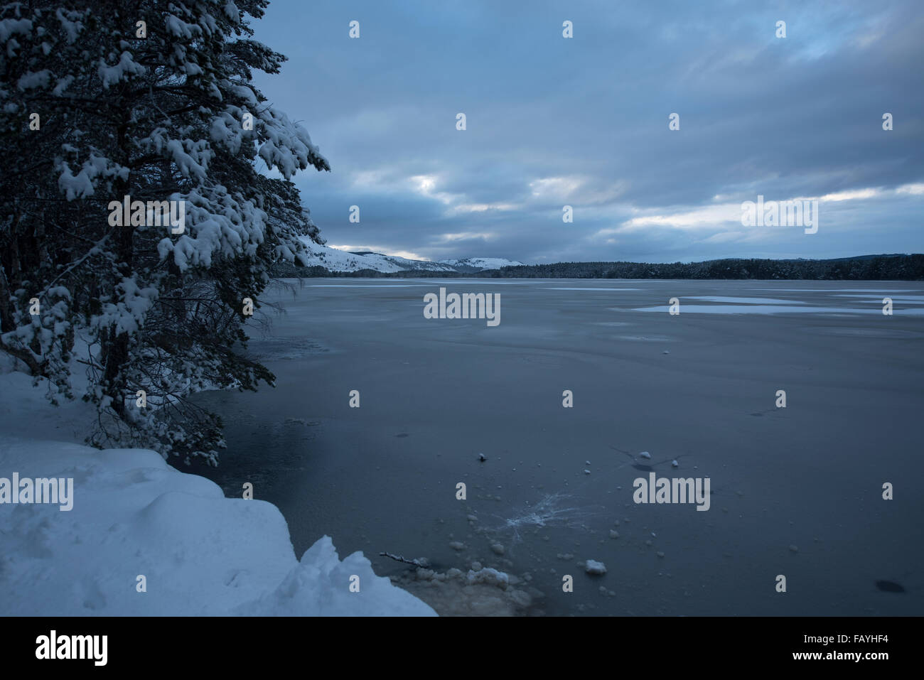 The frozen expanse of Loch Garten in Winter in Summer the area is known ...