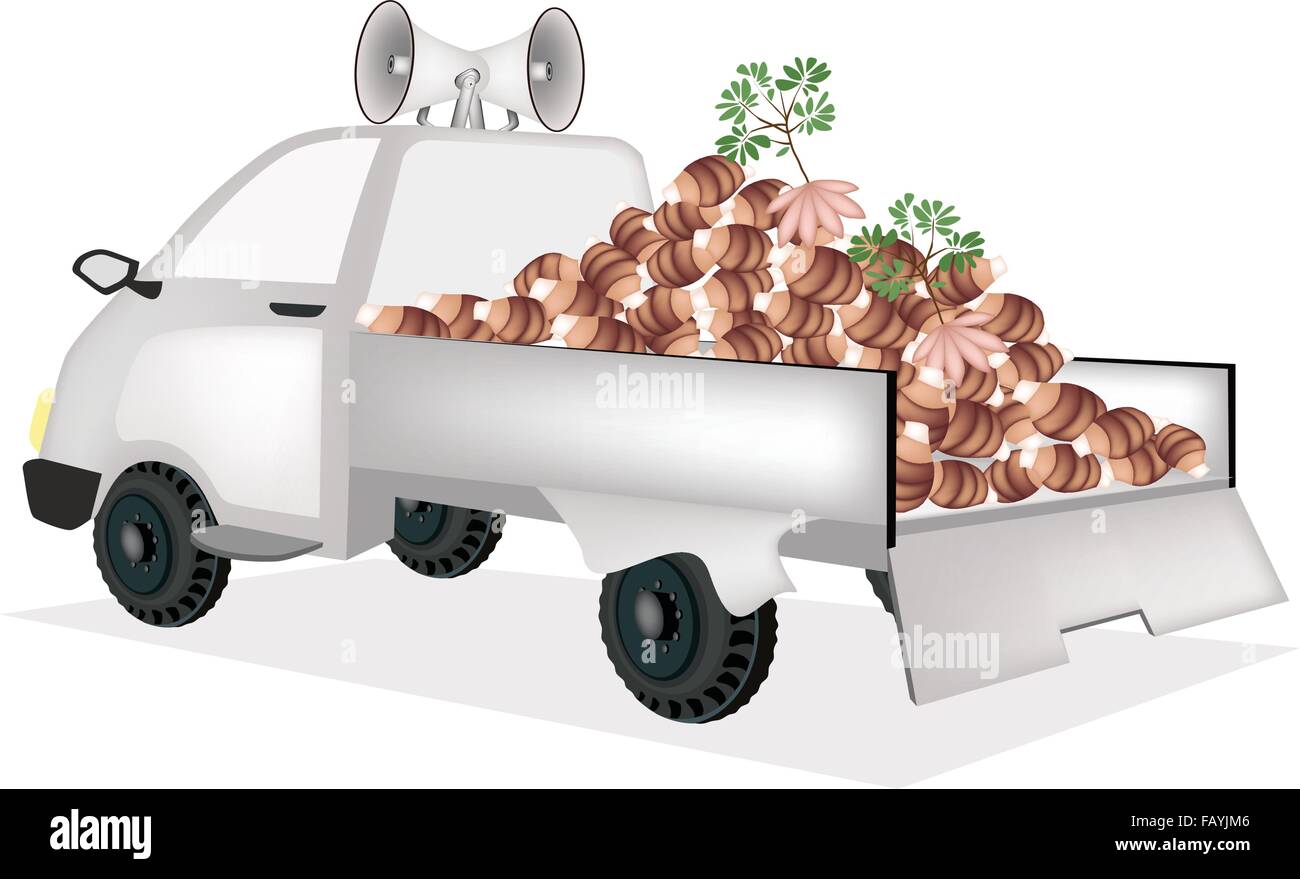 Mini roots Stock Vector Images - Alamy