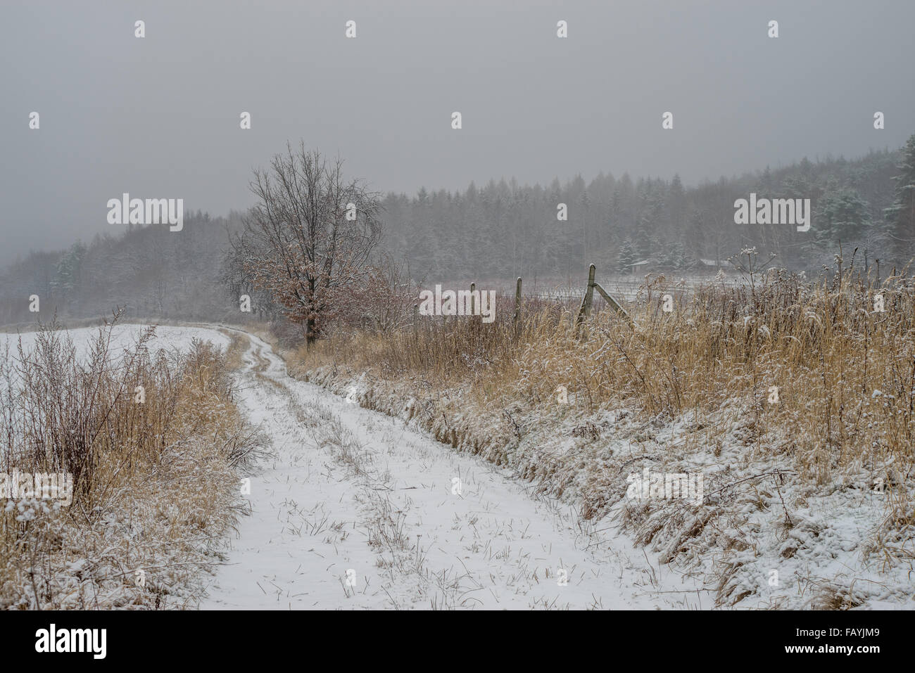 Snowy path among the fields Stock Photo - Alamy