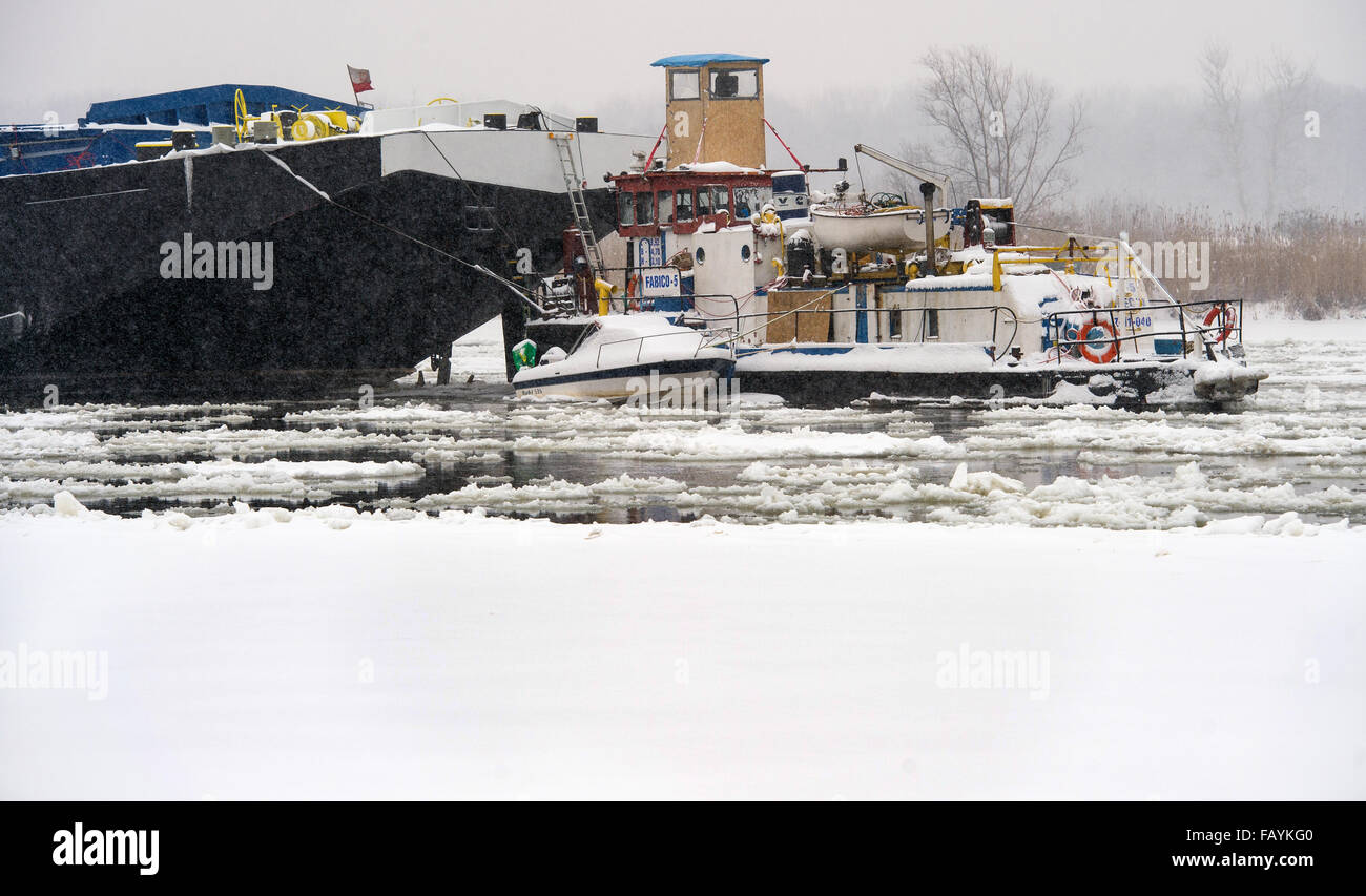 Reitwein, Germany. 6th Jan, 2016. A Polish pushed boat convoy stuck on ...