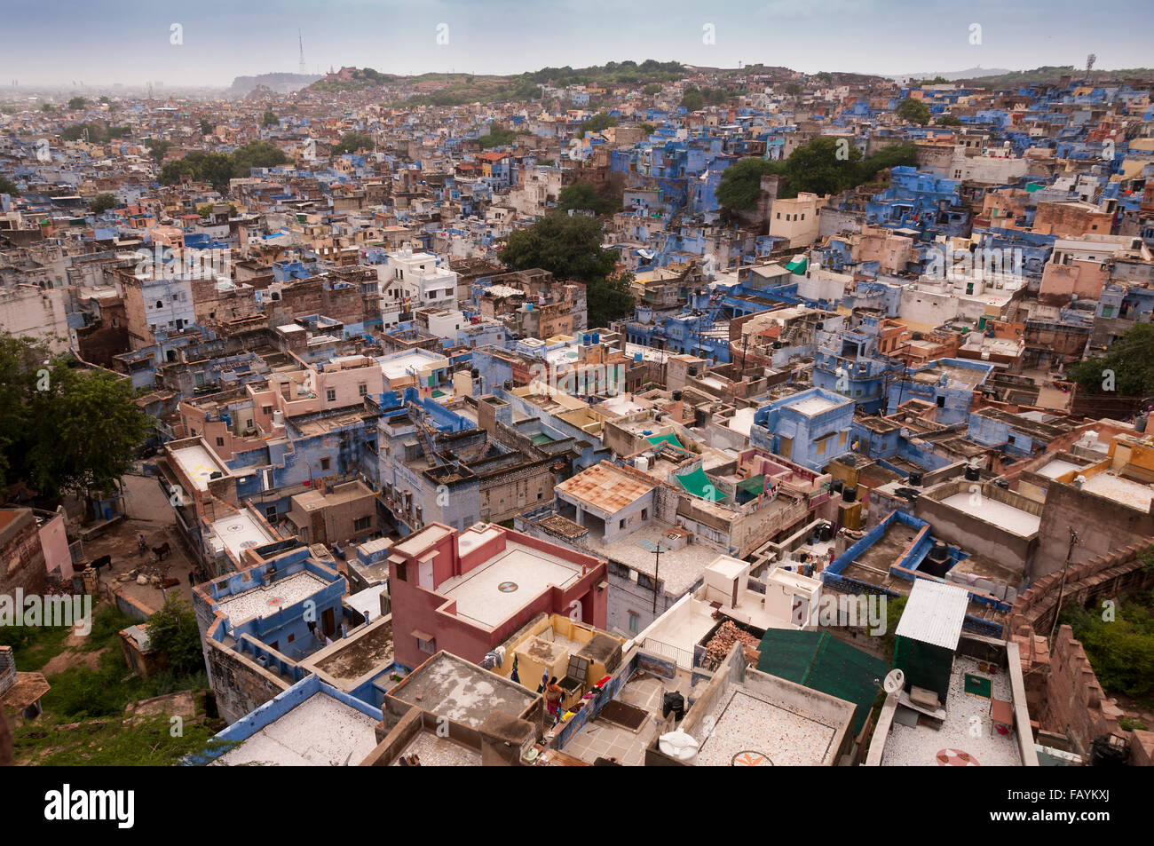 Jodhpur blue building view hi-res stock photography and images - Alamy