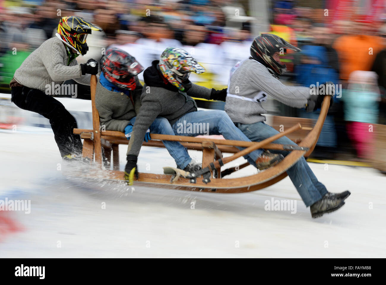 Participants in the traditional horned sledge race come down the piste ...