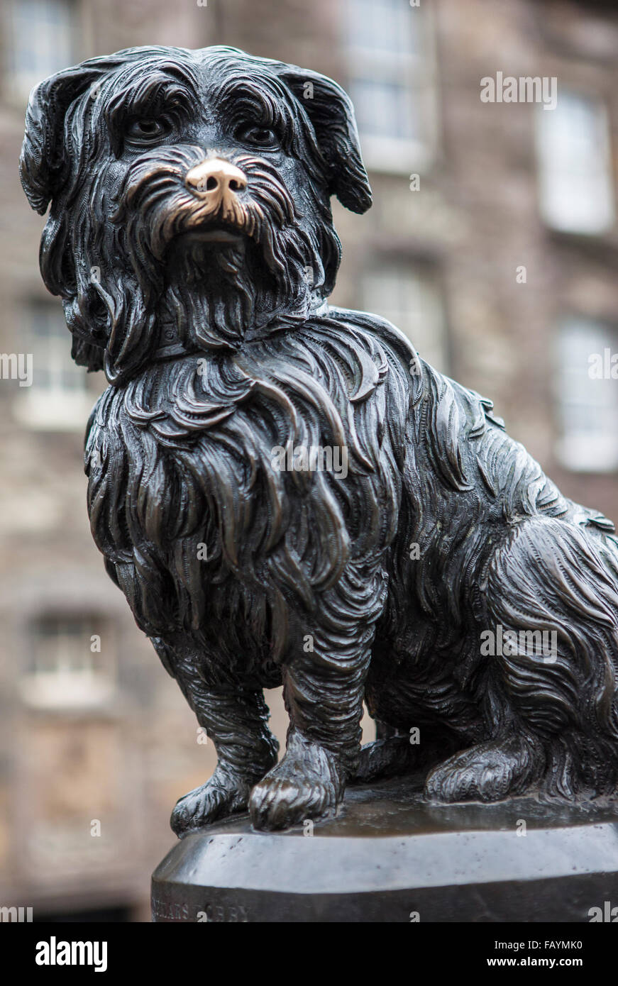 A statue of Greyfriars Bobby in Edinburgh, Scotland. Bobby was a Skye ...