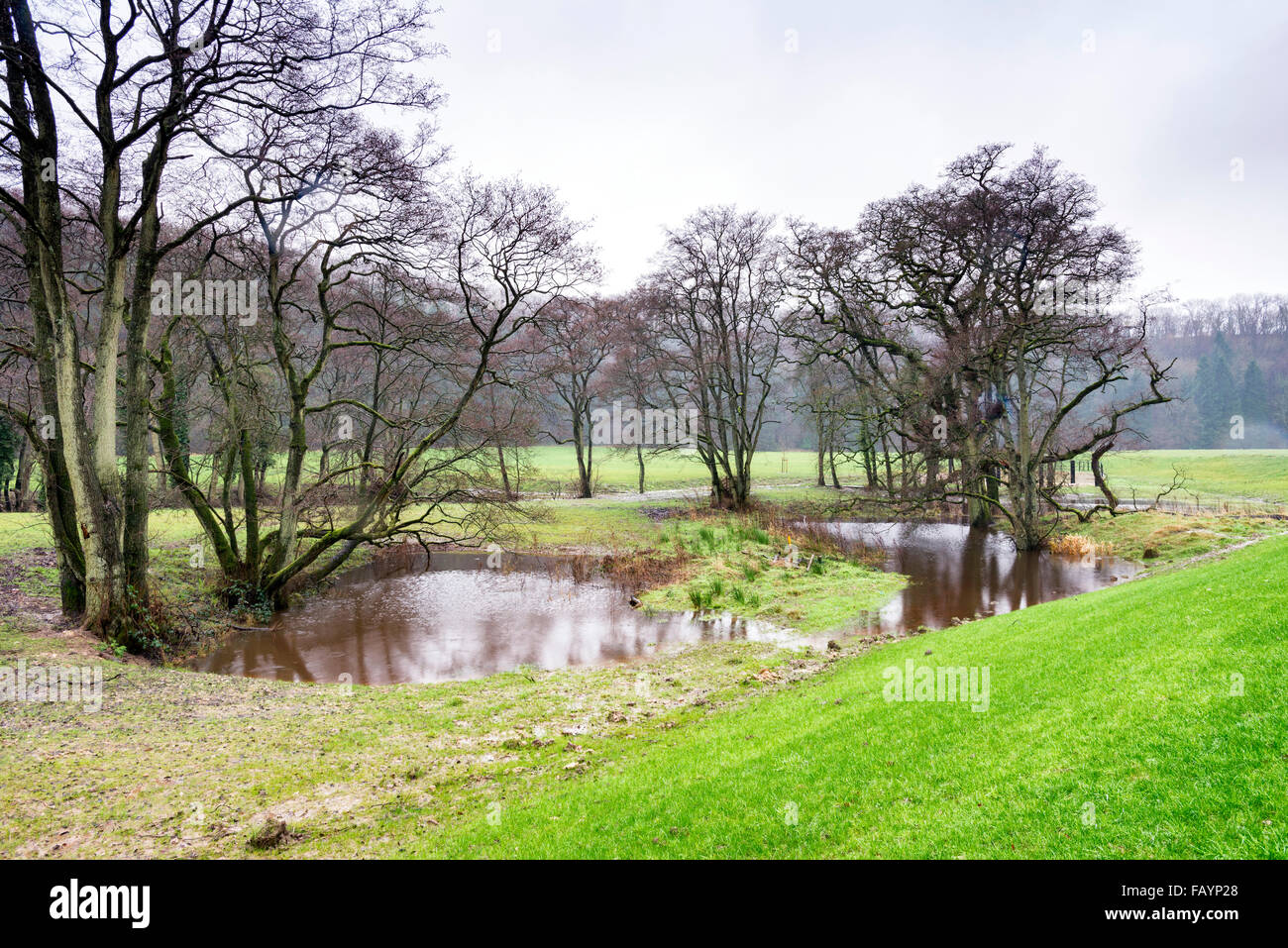 Pickering Flood High Resolution Stock Photography and Images - Alamy