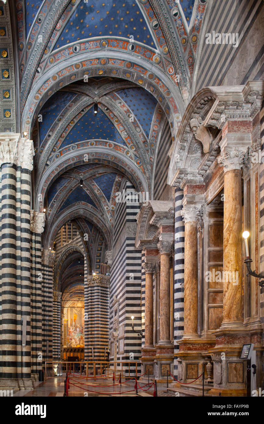 Siena cathedral interior hi-res stock photography and images - Alamy