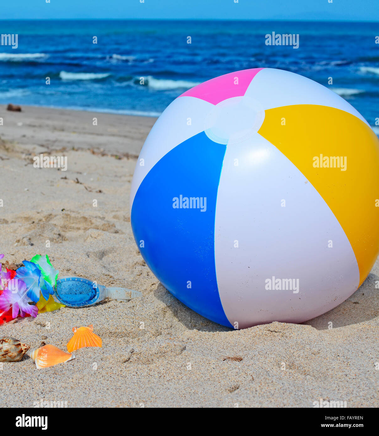 Star ball fish hi-res stock photography and images - Alamy