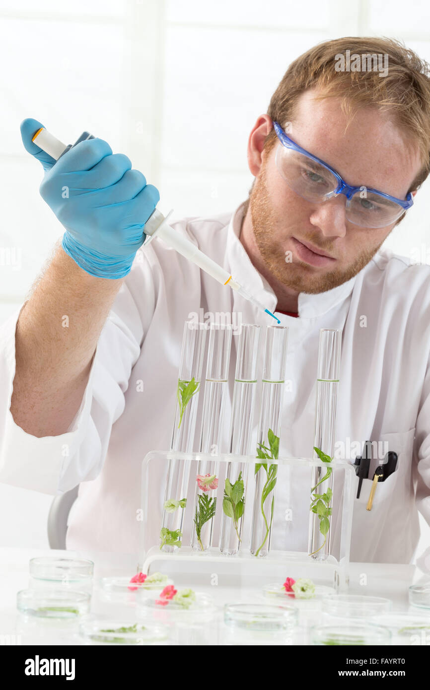 Experimental plant biology Stock Photo - Alamy