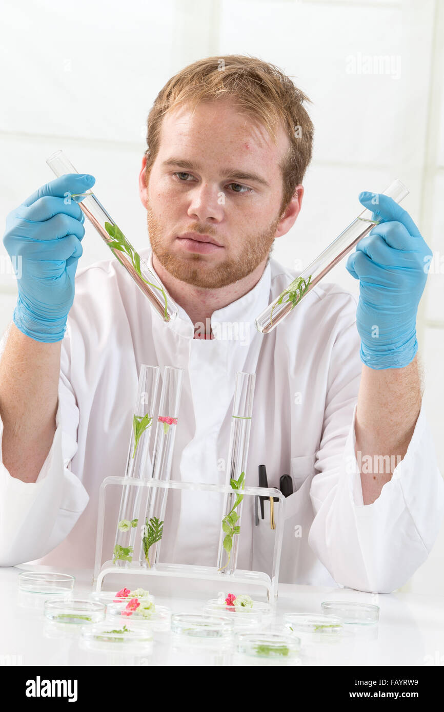 Seedling biology hi-res stock photography and images - Alamy