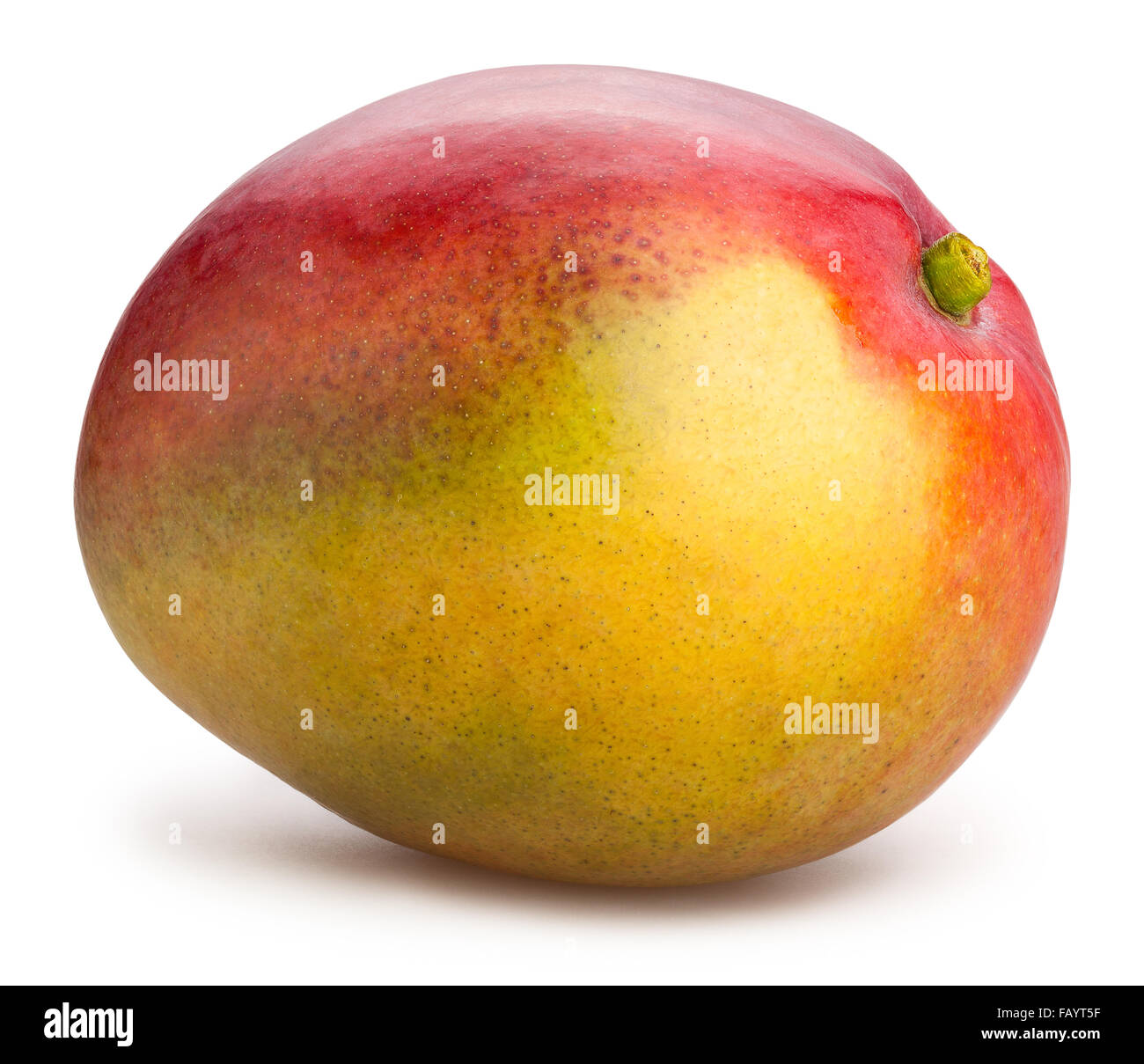 Single mango fruit isolated hi-res stock photography and images - Alamy