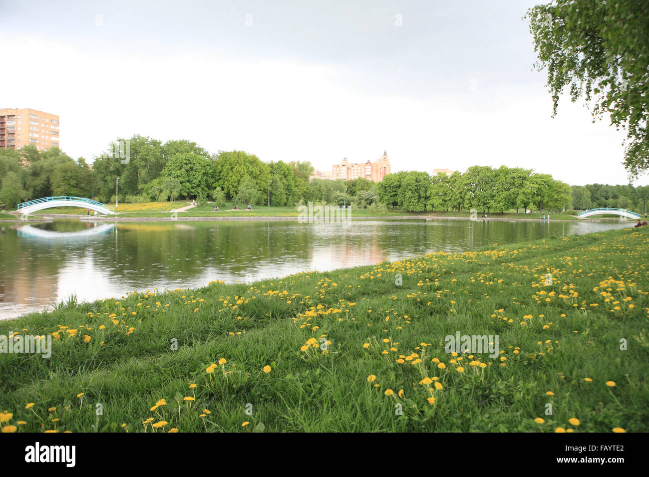 spring in city park Stock Photo - Alamy