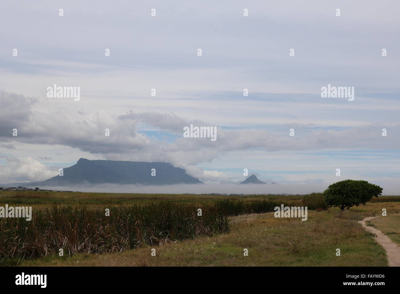 New seven wonders of nature hi-res stock photography and images - Alamy