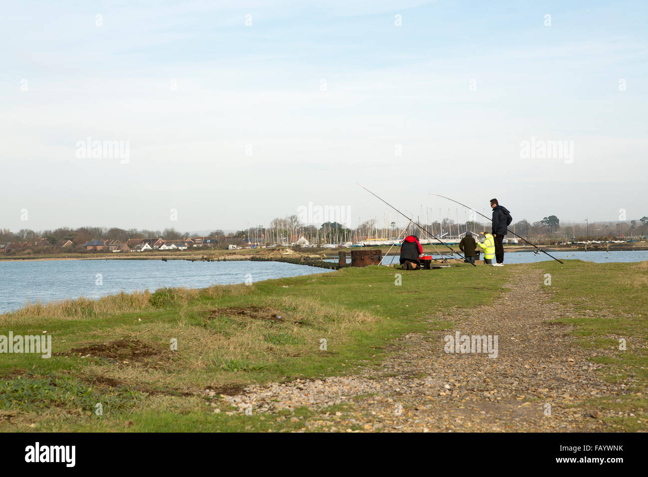 Group of fishermen at Langstone harbour fishing from the path of the ...