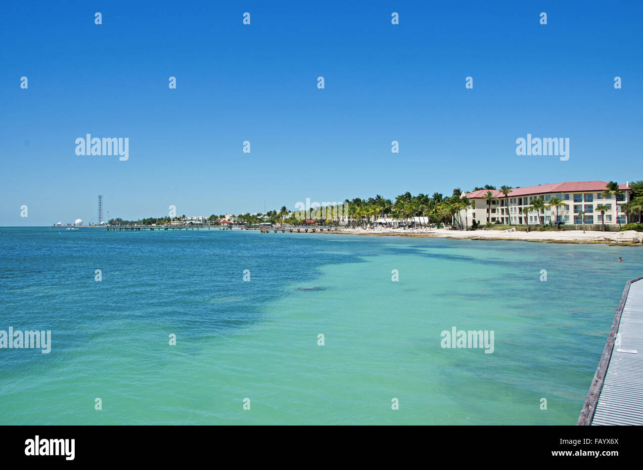 Florida keys, beach palms hi-res stock photography and images - Alamy
