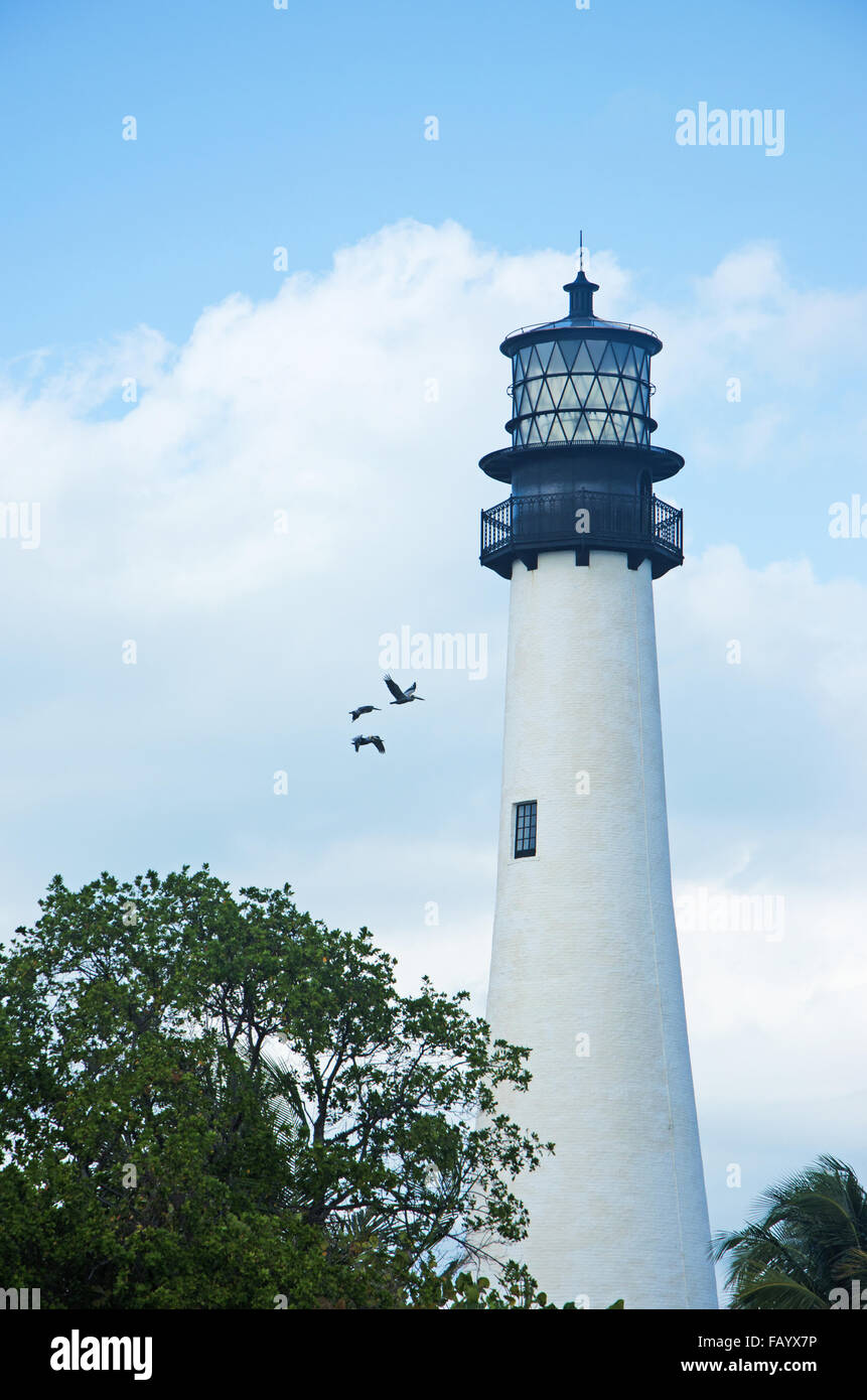 Florida, Key Biscane: view of the Cape Florida Light, the lighthouse of ...