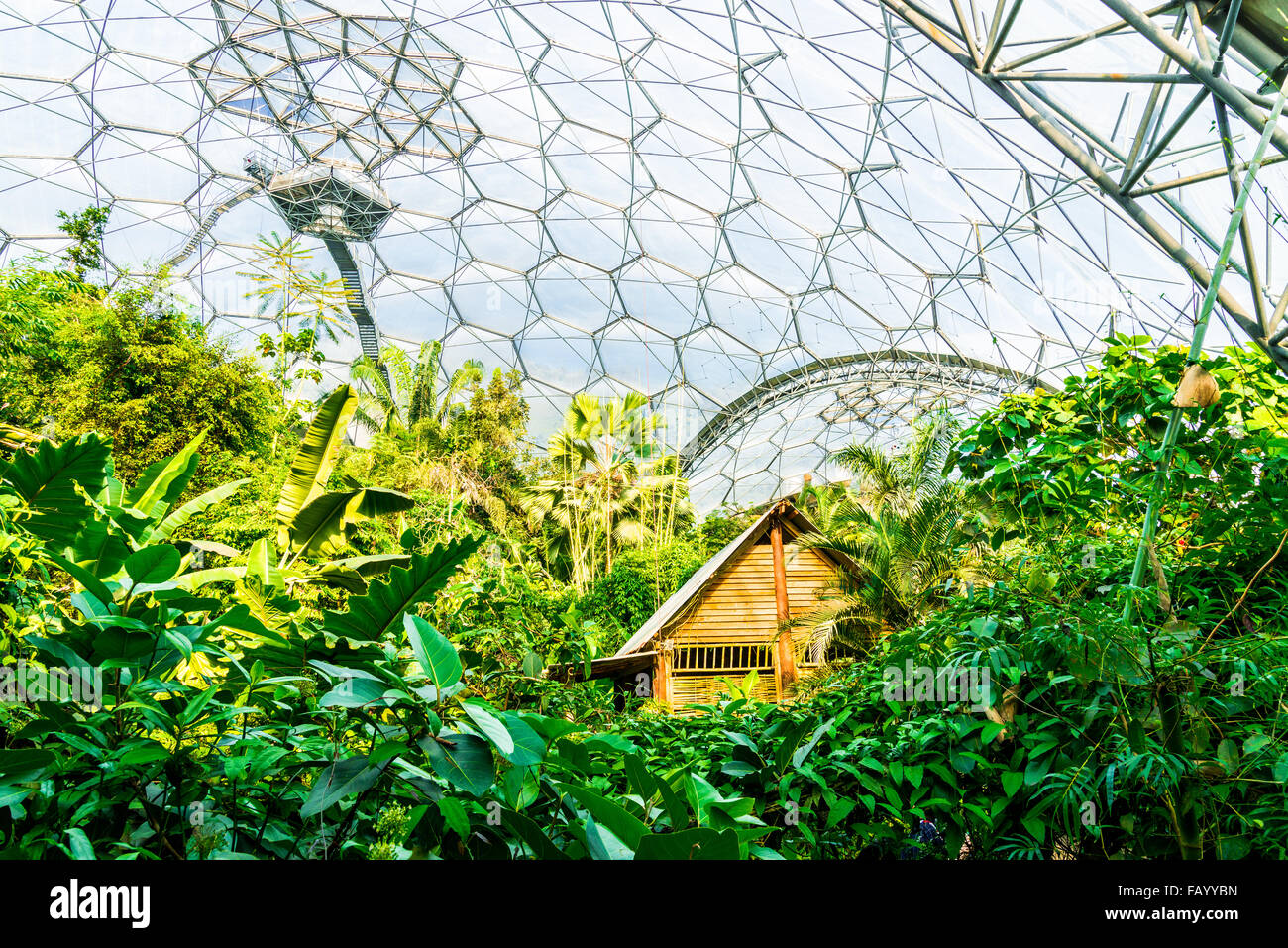 Eden project cornwall flowers sky hi-res stock photography and images ...