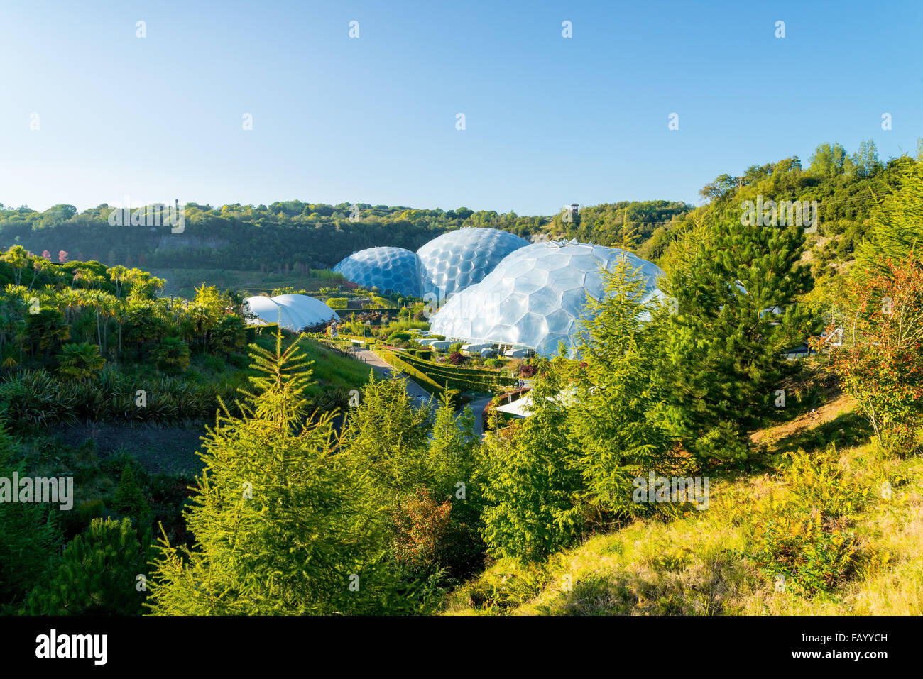 View the Dome Eden Project in Cornwall Stock Photo - Alamy