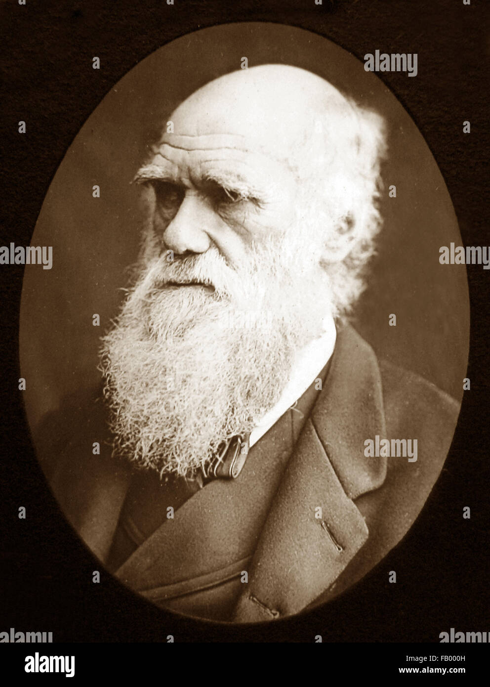 Charles darwin hi-res stock photography and images - Alamy