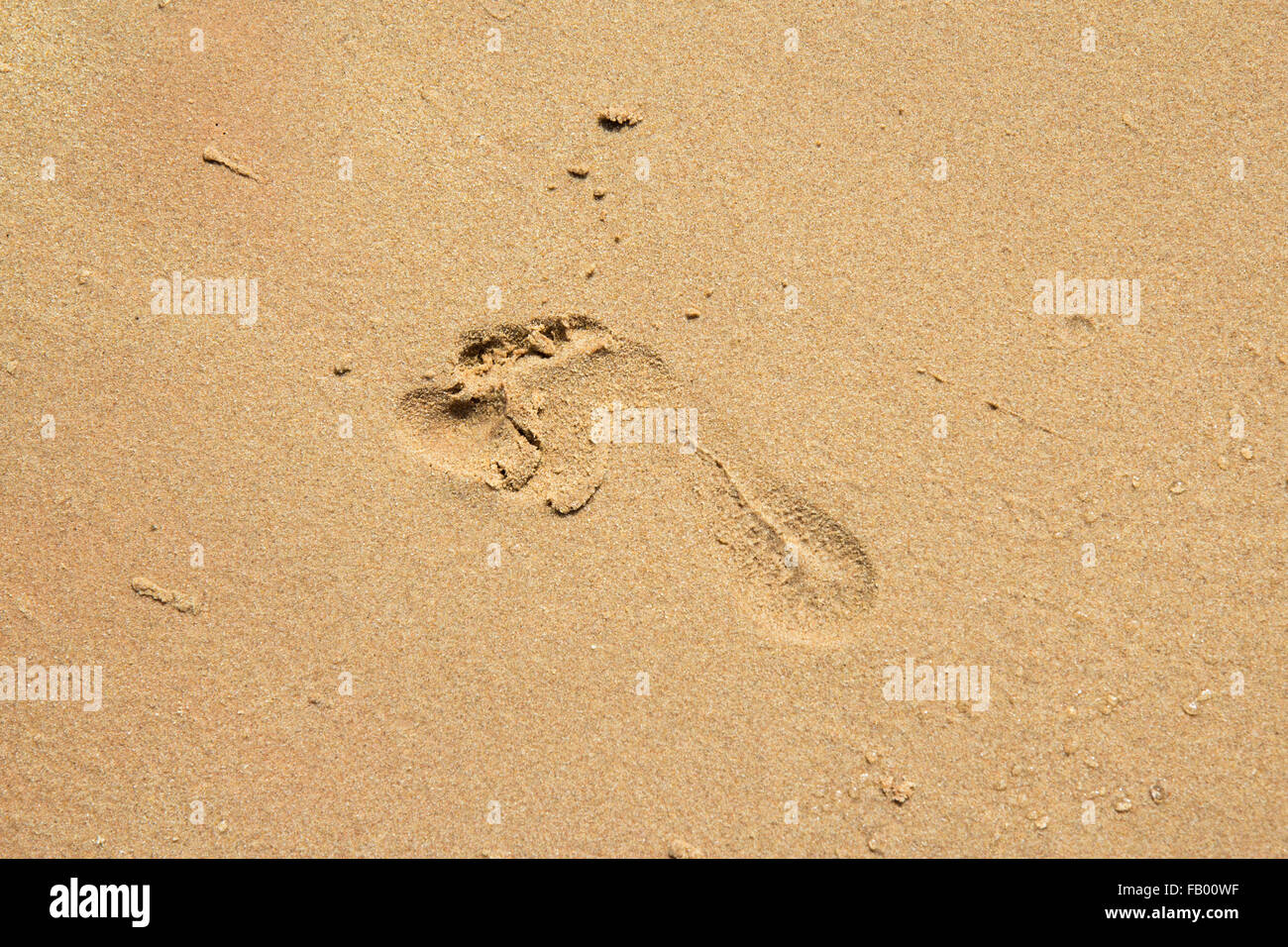 Human foot steps hi-res stock photography and images - Alamy