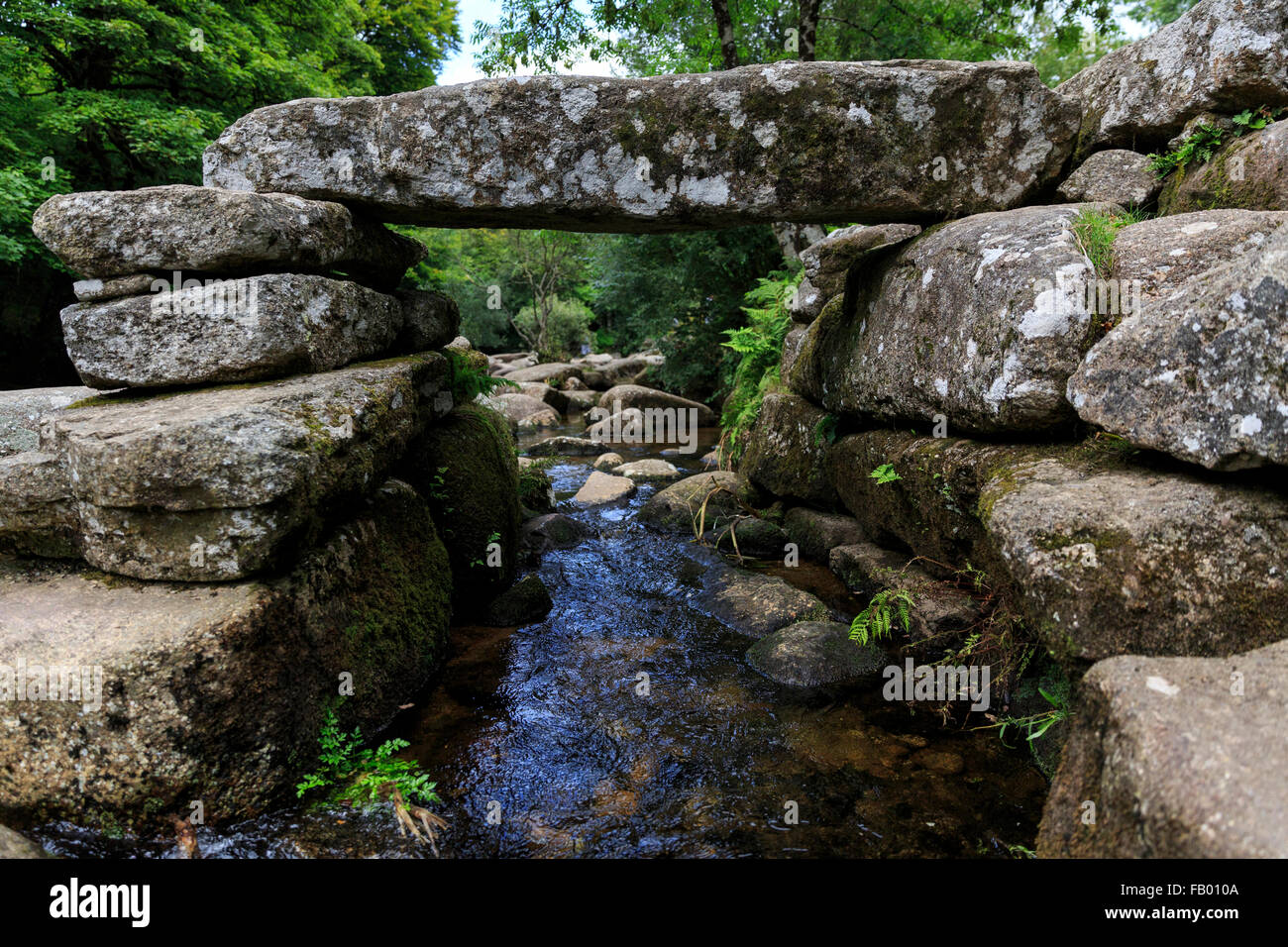 The remains of the ancient clapper bridge at Dartmeet, Dartmoor, Devon ...
