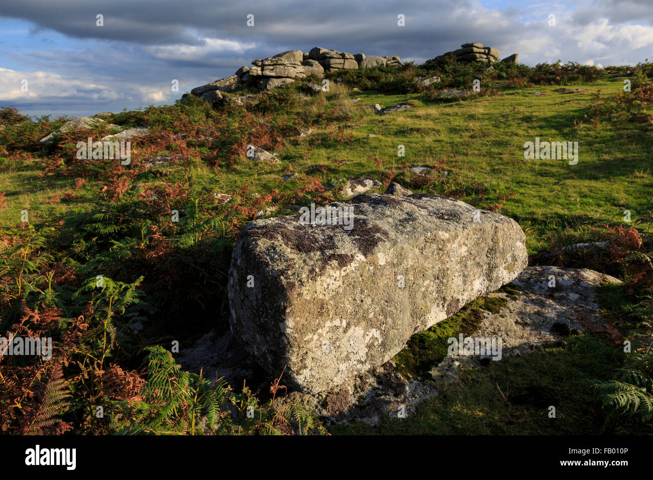 Combestone Tor is an easily accessible granite tor on Dartmoor, Devon ...