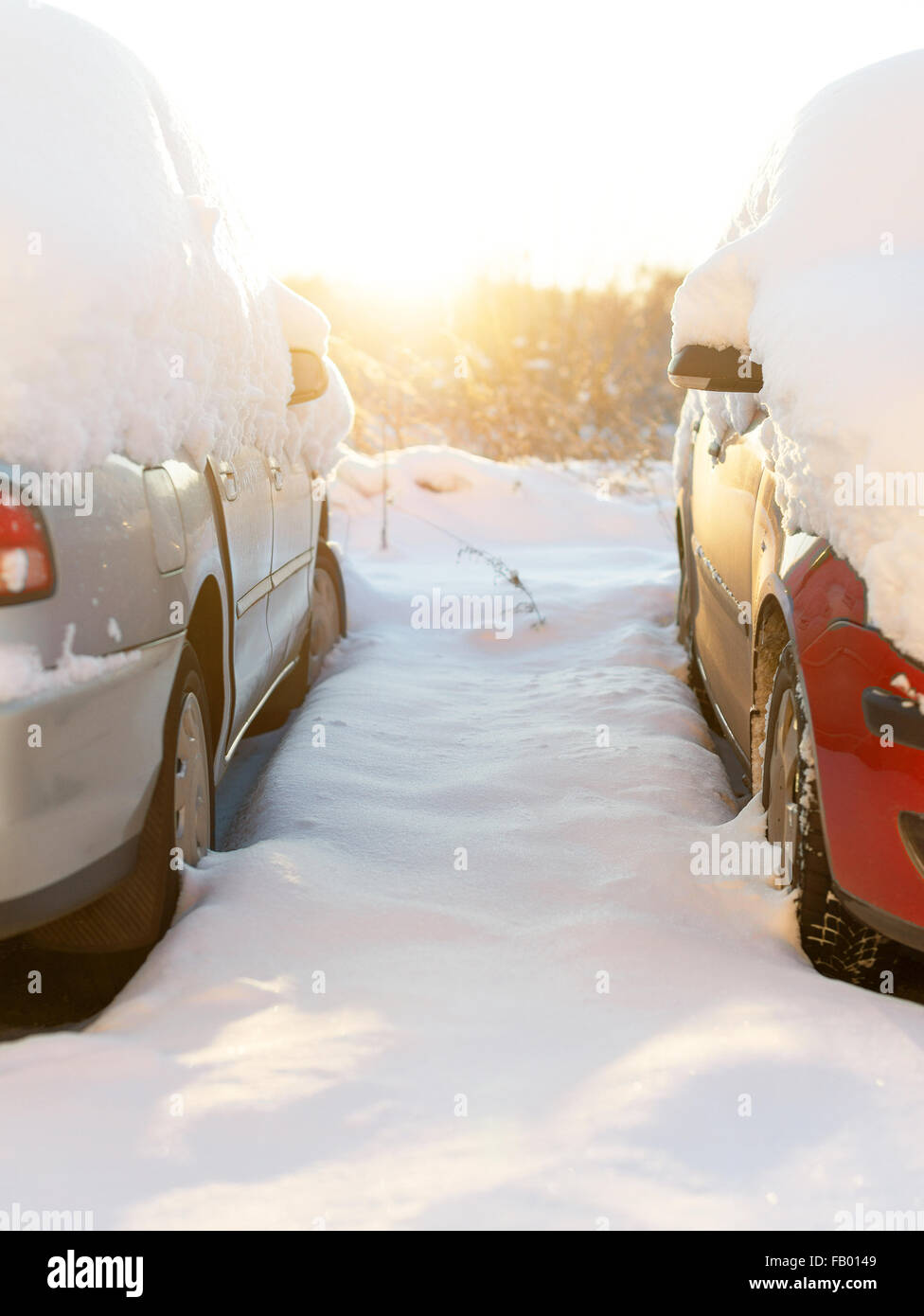 Cars covered with snow in the winter Stock Photo - Alamy