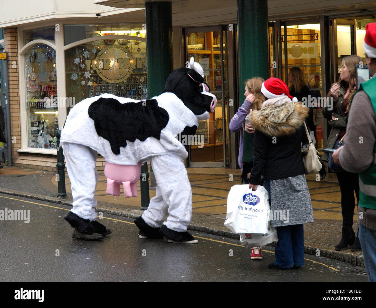 Pantomime cow hi-res stock photography and images - Alamy
