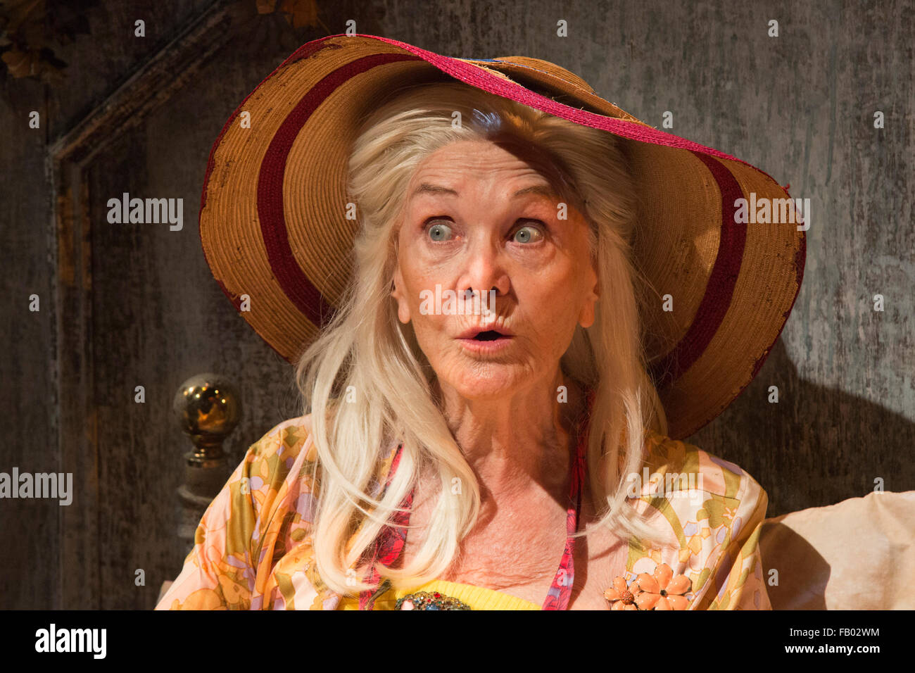 Little edie grey gardens hi-res stock photography and images - Alamy