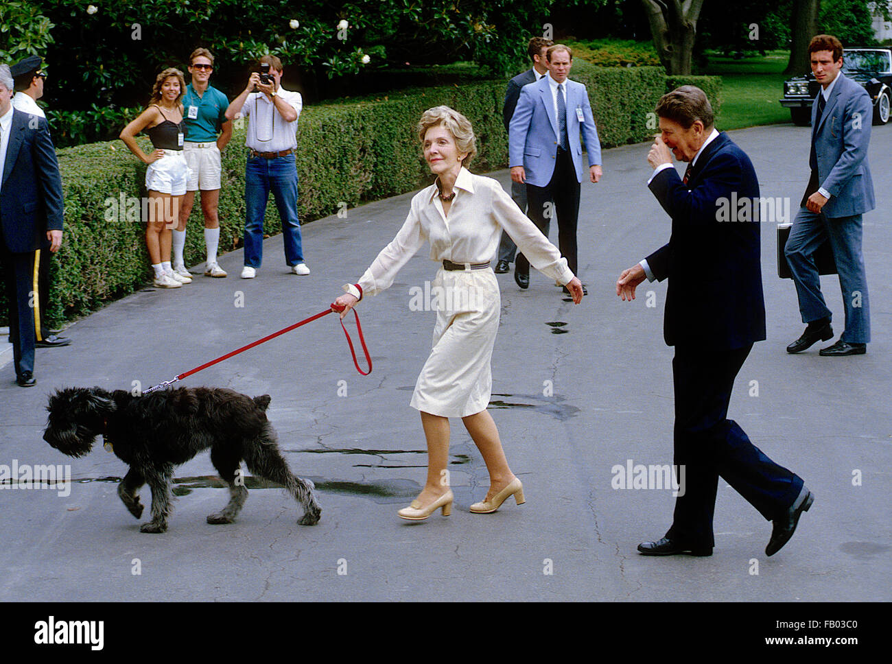 Washington, DC., USA, 1984 FIrst Lady Nancy Reagan gets pulled back to ...