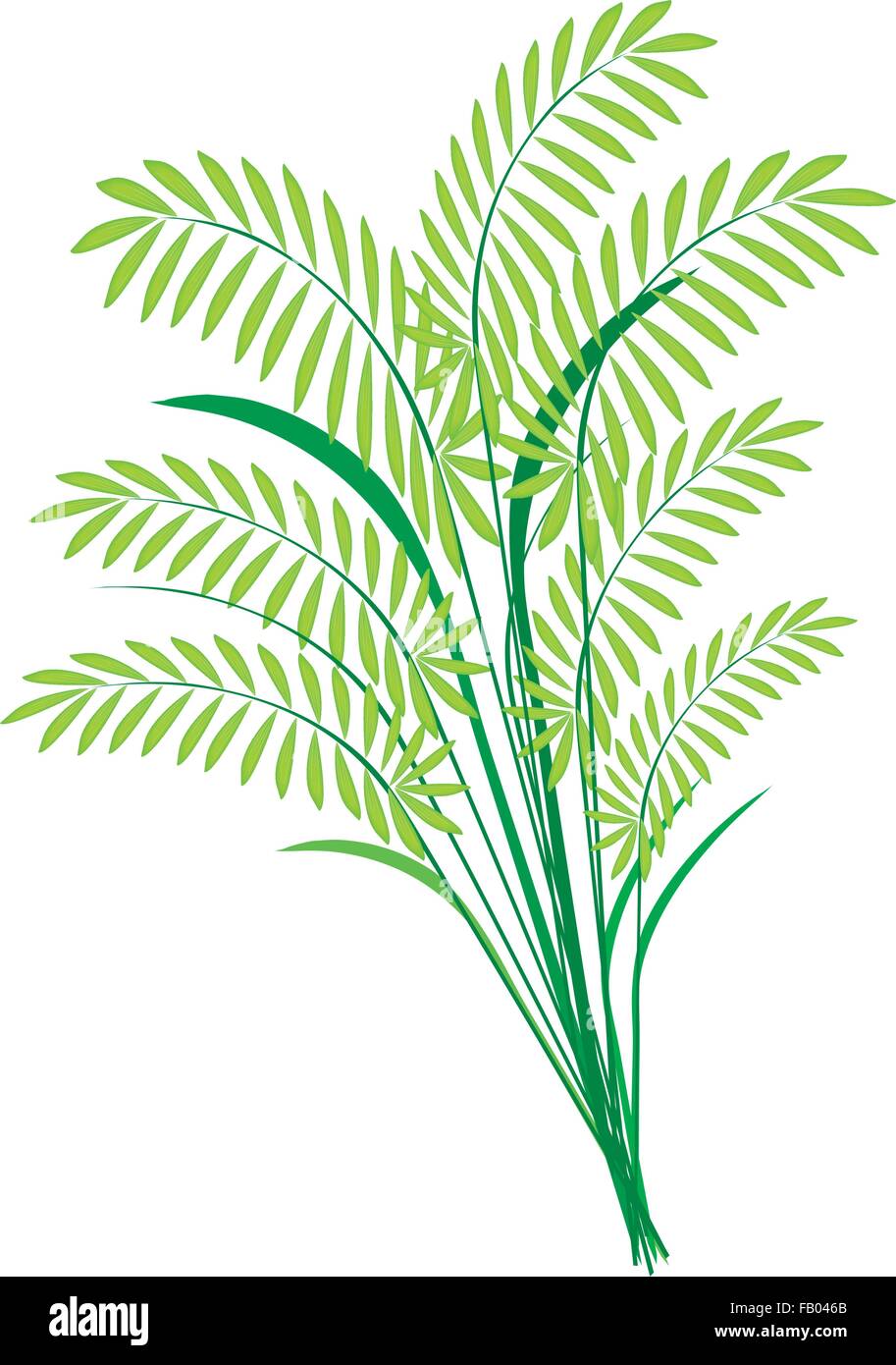 Environmental Concept, Vector Illustration of Beautiful Green Rice ...