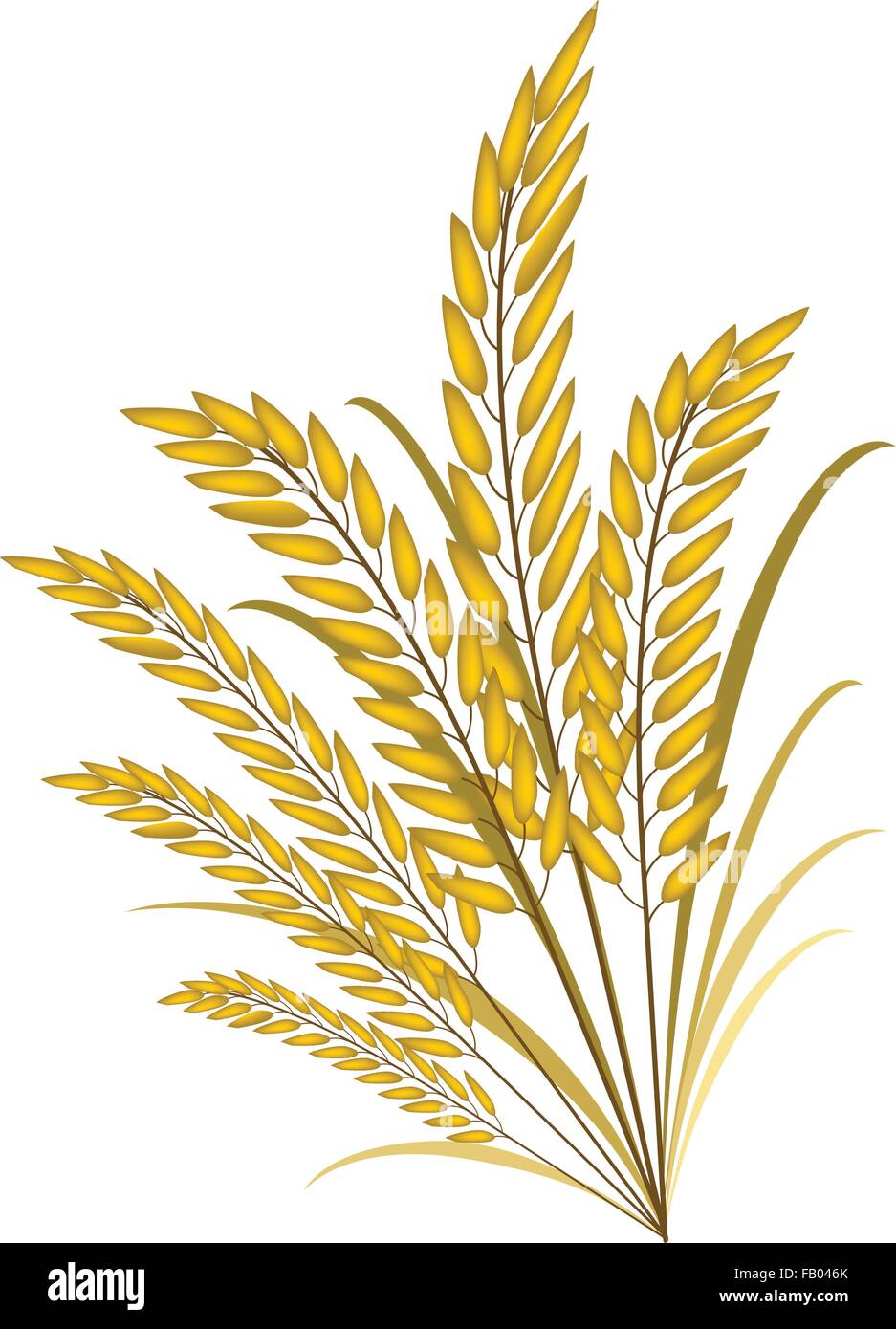 Environmental Concept, Vector Illustration of Golden Ripe Rice or ...