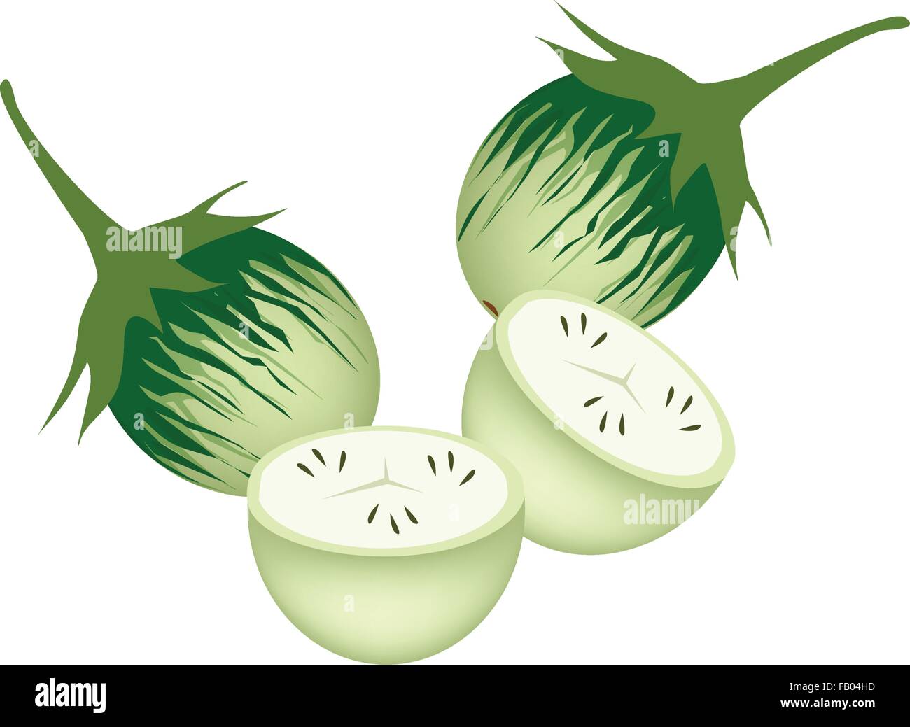 Vegetable, Vector Illustration of Long and Slices Fresh Green Eggplant ...