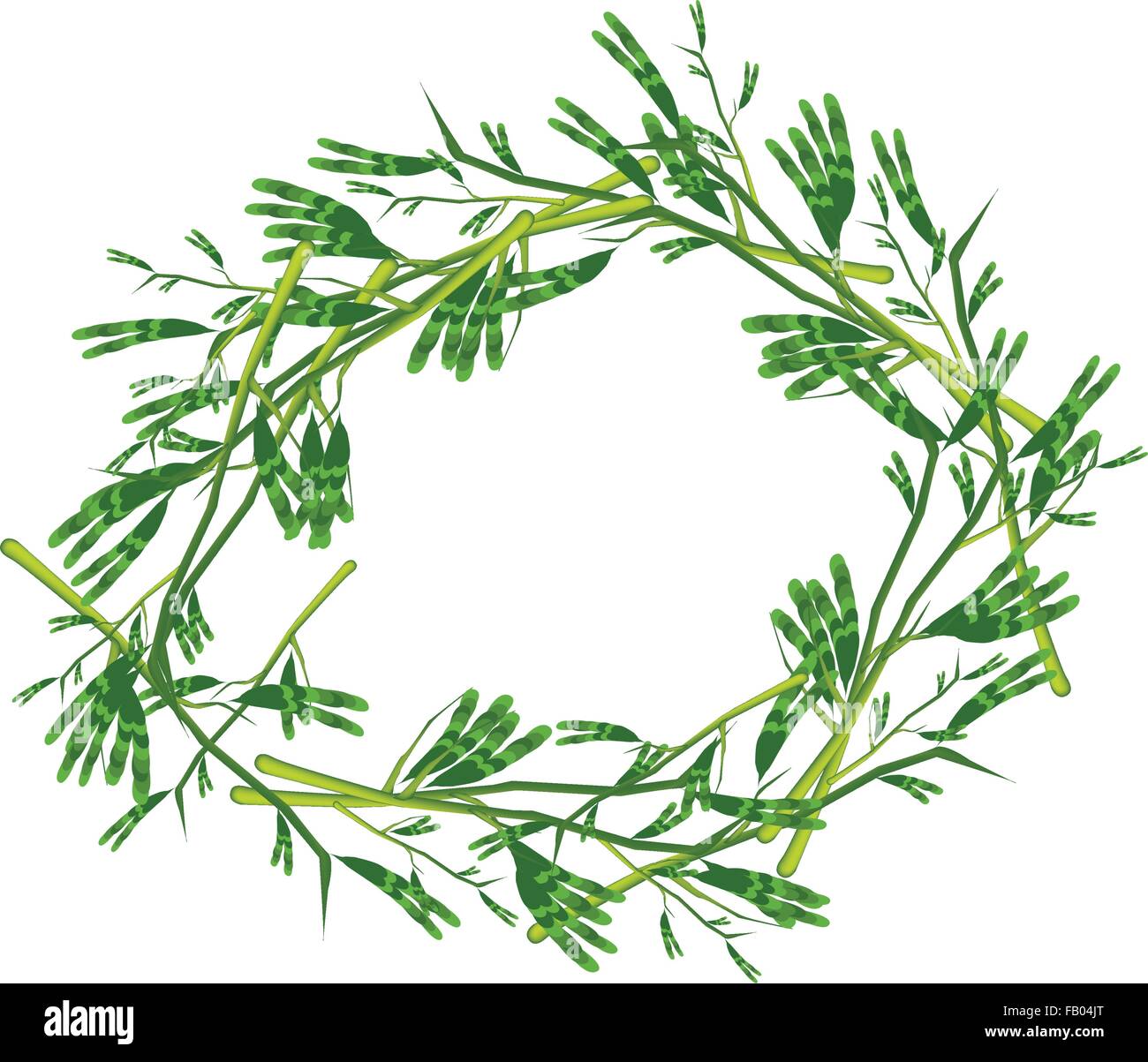Neptunia oleracea lour Stock Vector Images - Alamy