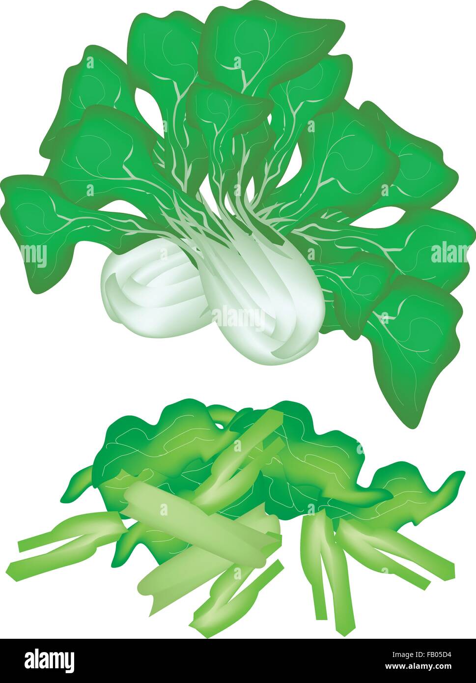 Vegetable, Vector Illustration of Delicious Fresh and Chopped Green Bok ...